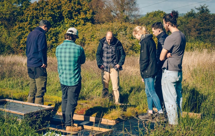 Building Back Biodiversity: Using Innovative Financing Mechanisms to ...