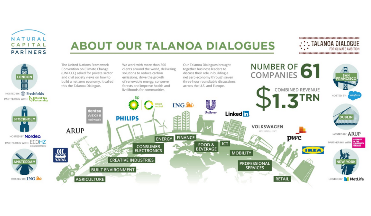 The Role of Business in Getting to Net Zero | Climate Impact Partners