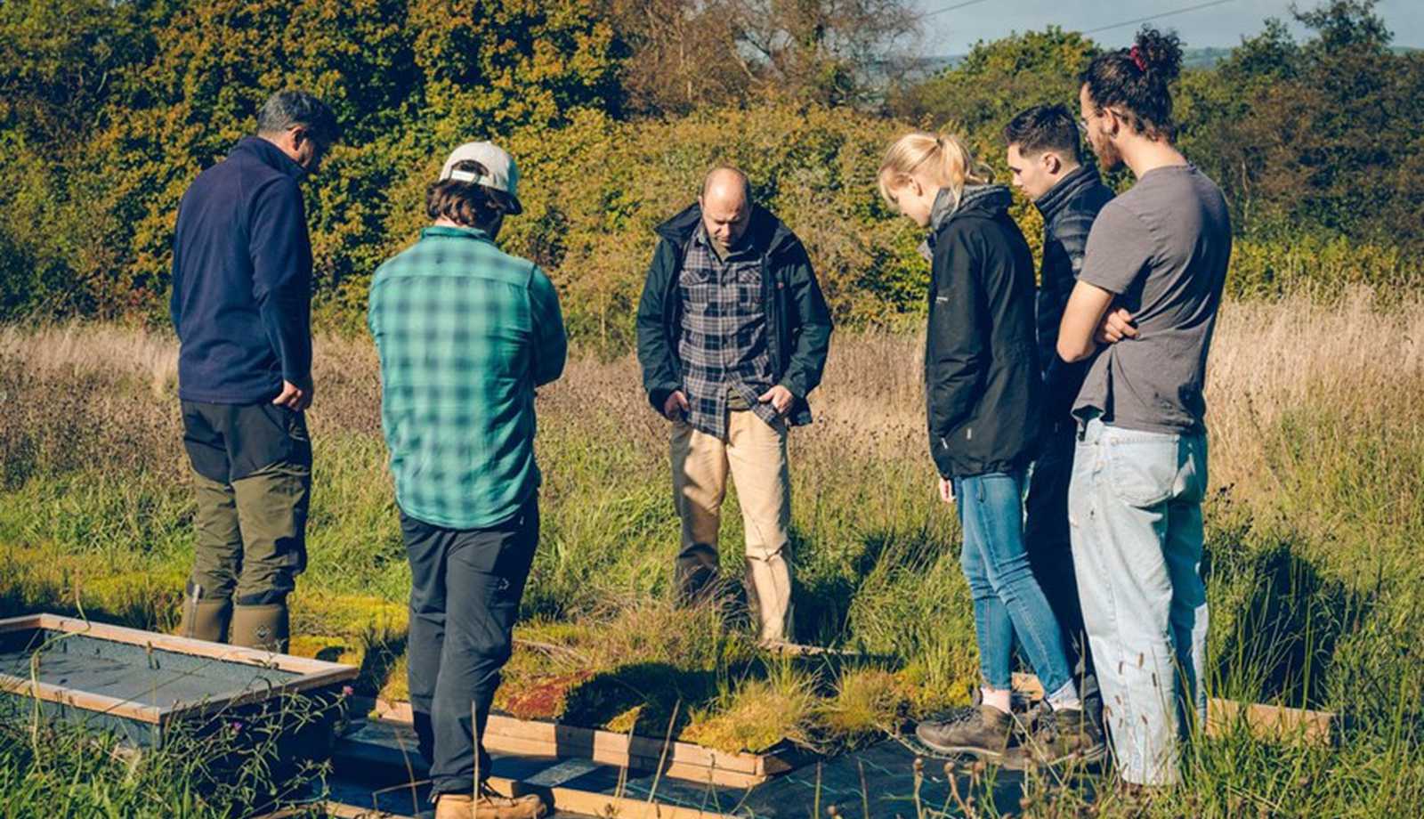 Building Back Biodiversity: Using Innovative Financing Mechanisms to ...
