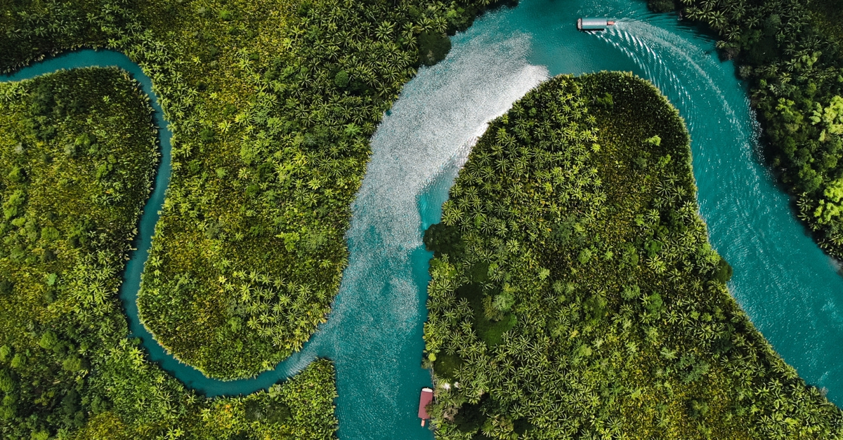 Business Solutions | Climate Impact Partners