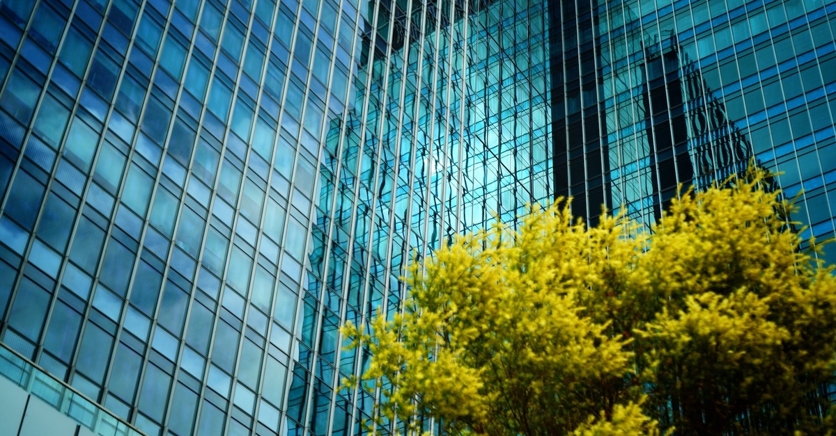 The landscape of corporate climate claims | Climate Impact Partners