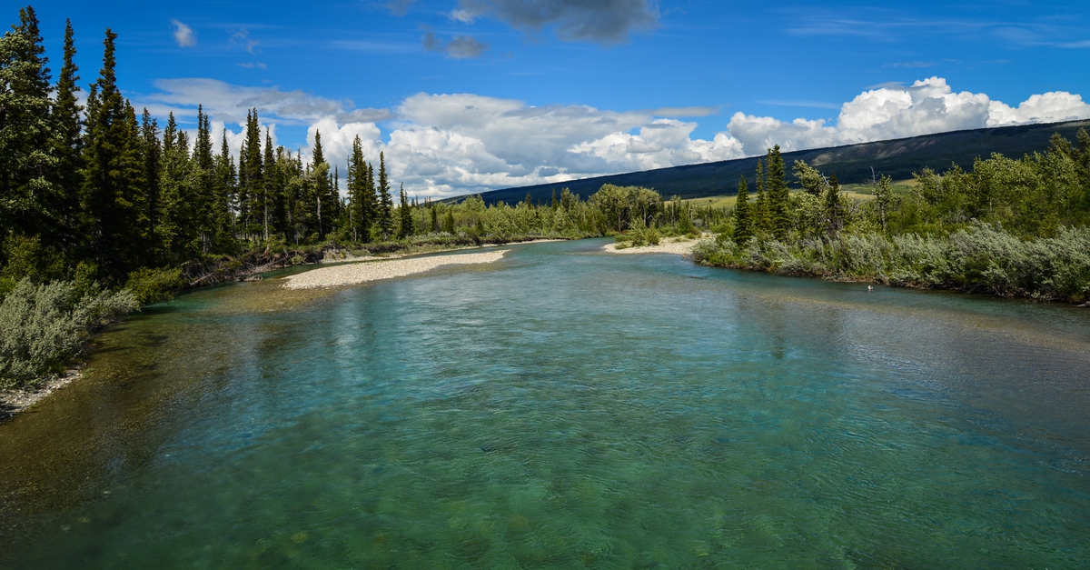 COP30: Carbon Market Insights | Climate Impact Partners
