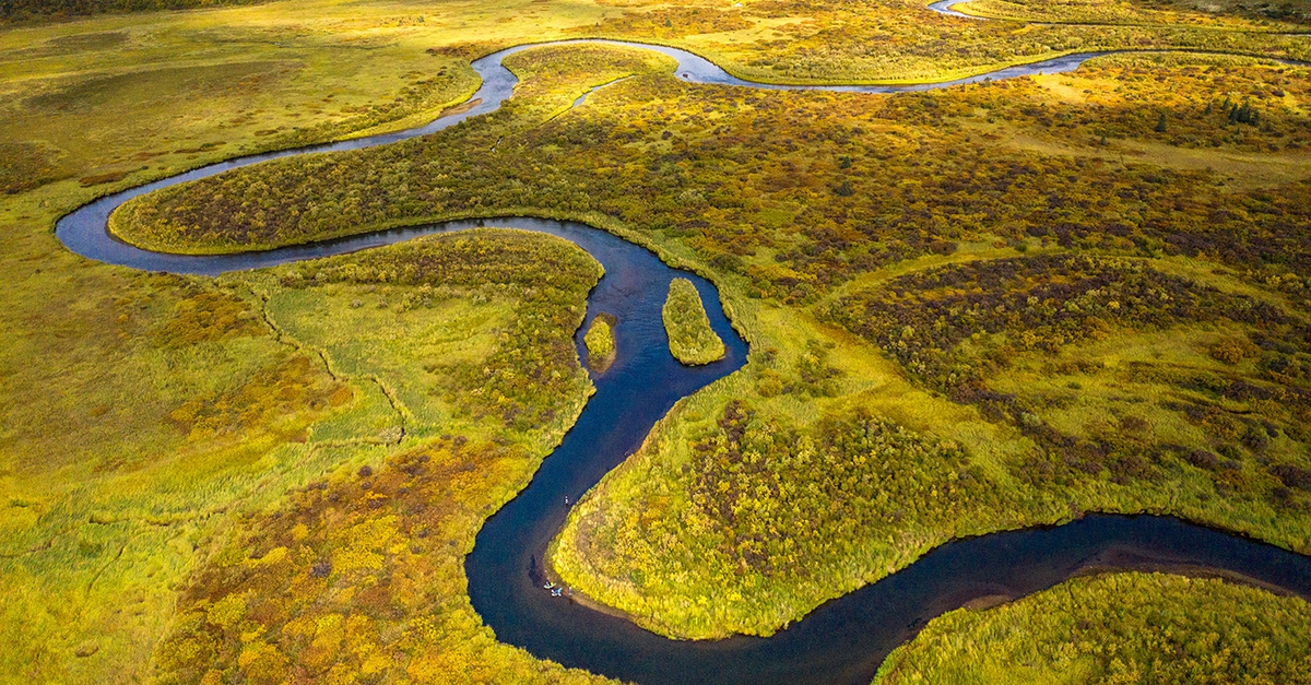 History & Impact | Climate Impact Partners