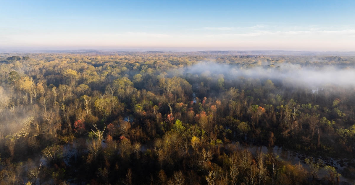 Climate Impact Partners Submits Letter to the SBTi's Second Corporate ...