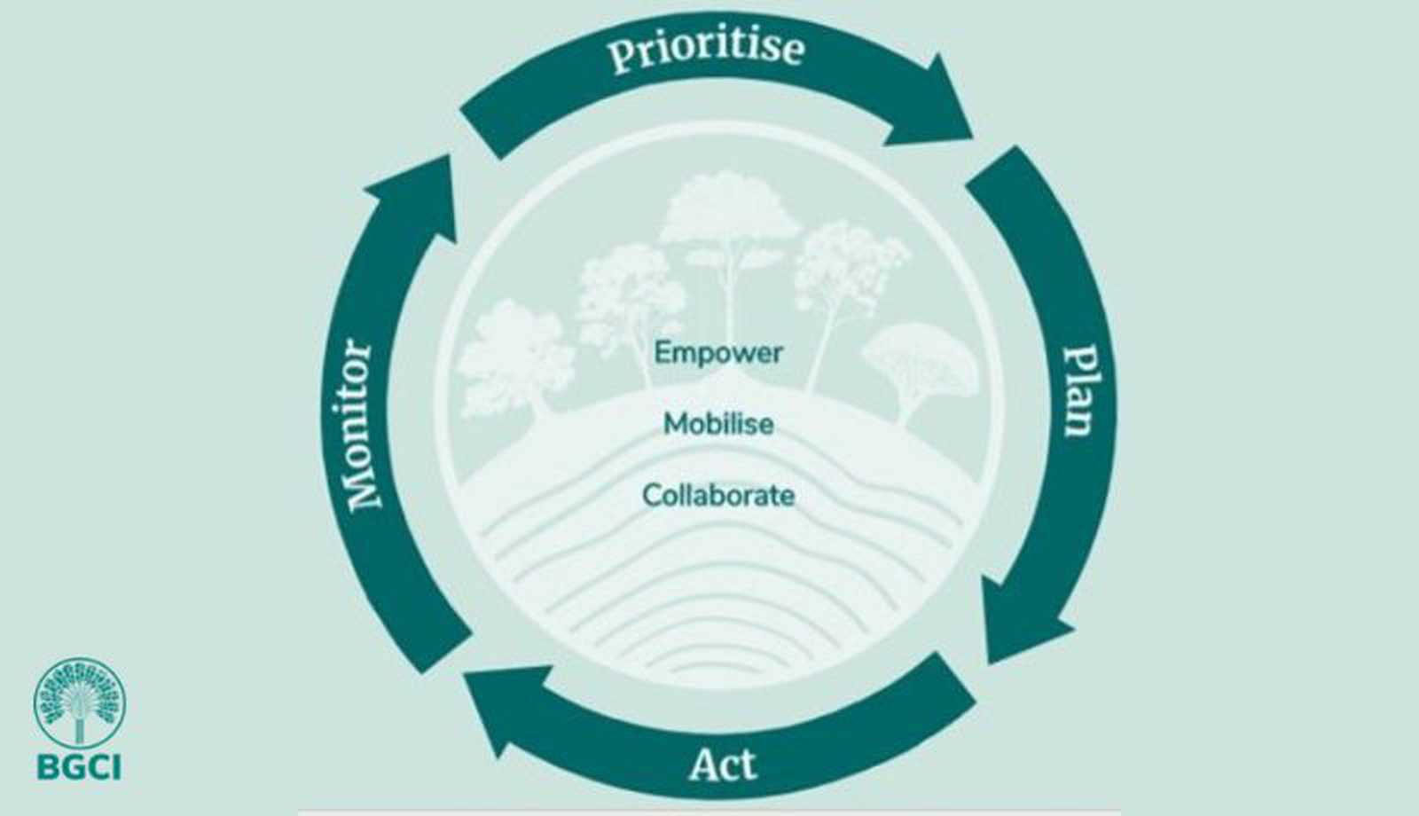Save A Species: recovering trees from extinction | Climate Impact Partners