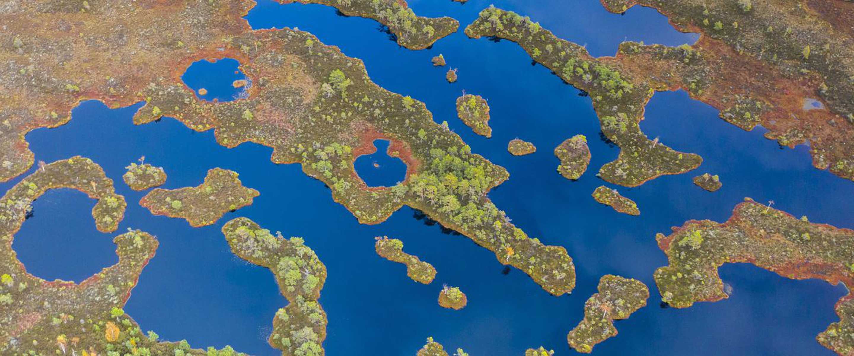 Get in touch | Climate Impact Partners