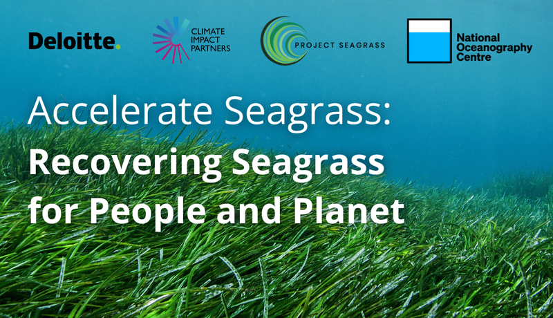 Beyond Value Chain Mitigation | Climate Impact Partners Beyond Value Chain Mitigation | Climate Impact Partners