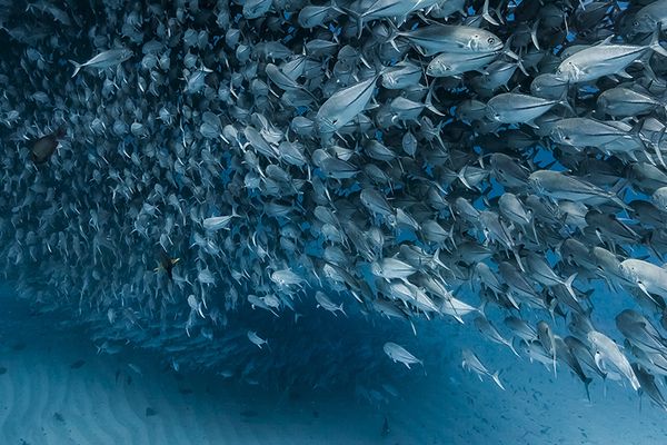 Who We Are | Climate Impact Partners