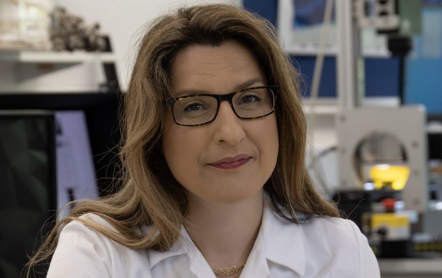 Accelerate Seagrass with Leanne Cullen-Unsworth, Dr. Claire Evans ...