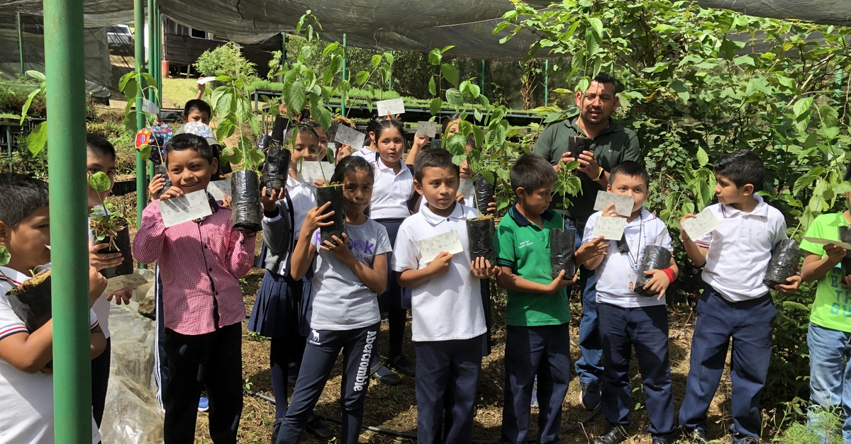 Save A Species: recovering trees from extinction | Climate Impact Partners