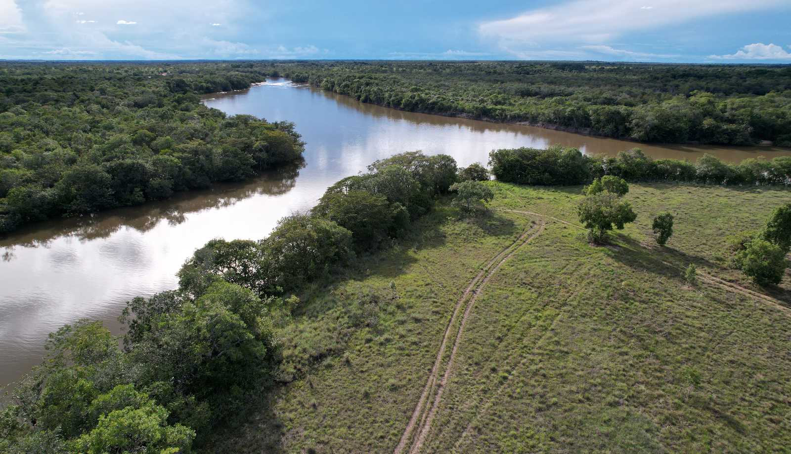 Rio Bita Reforestation, Colombia | Climate Impact Partners