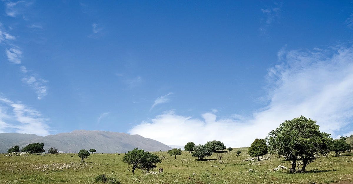 Future Energy Global and Climate Impact Partners Launch SAF ...