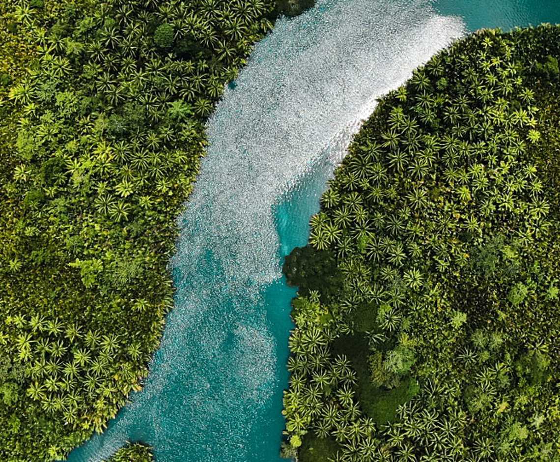 Carbon Market Specialists - Turning Ambition into Impact | Climate ...