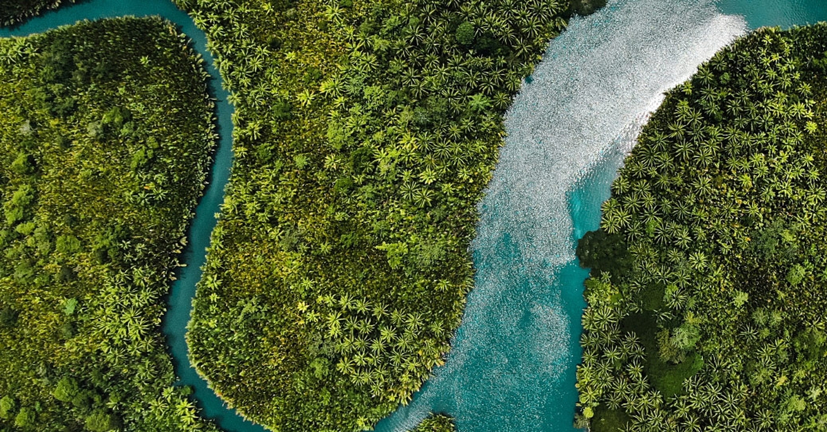 Business Solutions | Climate Impact Partners