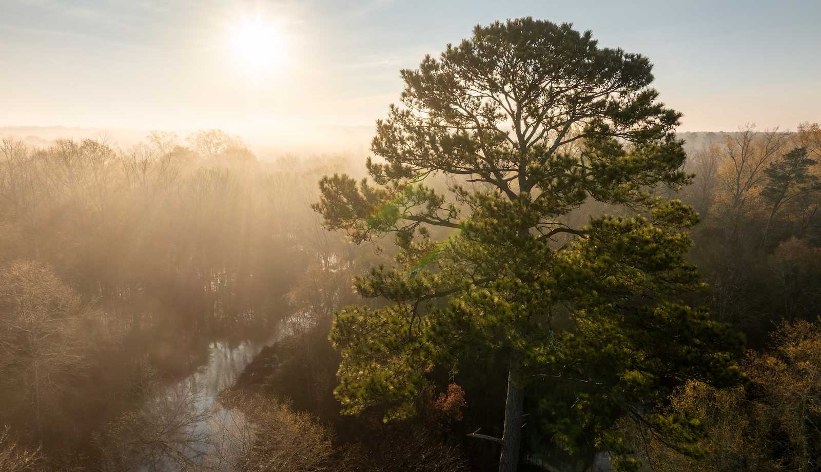 National Indian Carbon Coalition and Climate Impact Partners Forge ...