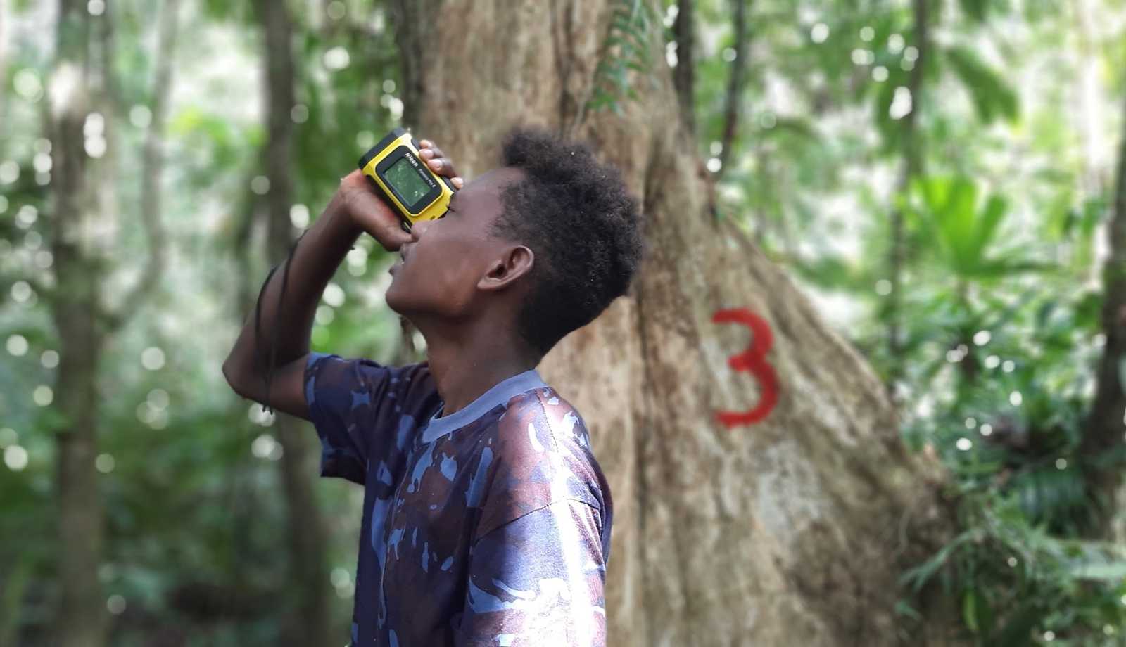 Babatana Rainforest, Solomon Islands | Climate Impact Partners