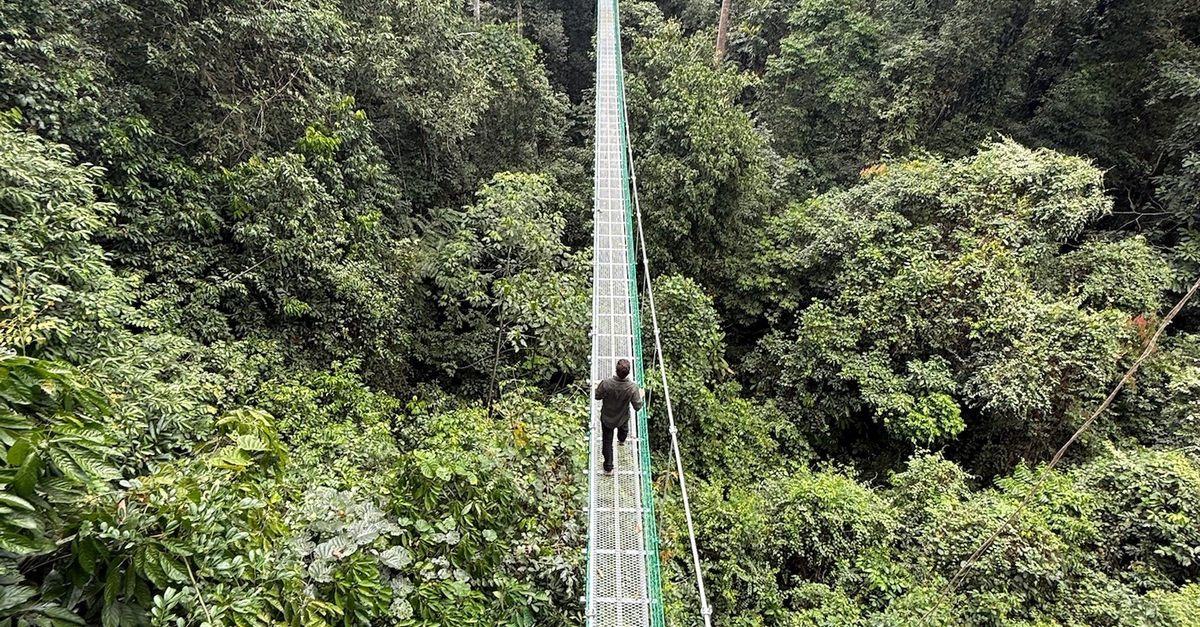 Behind the A Rating: Sabah Rainforest Project in Malaysia | Climate ...