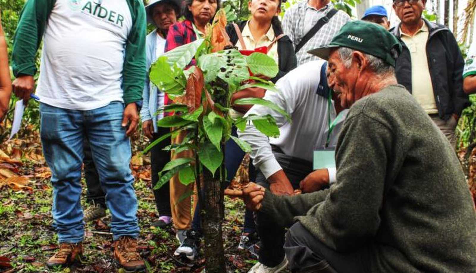 Tambopata National Reserve REDD+, Peru | Climate Impact Partners