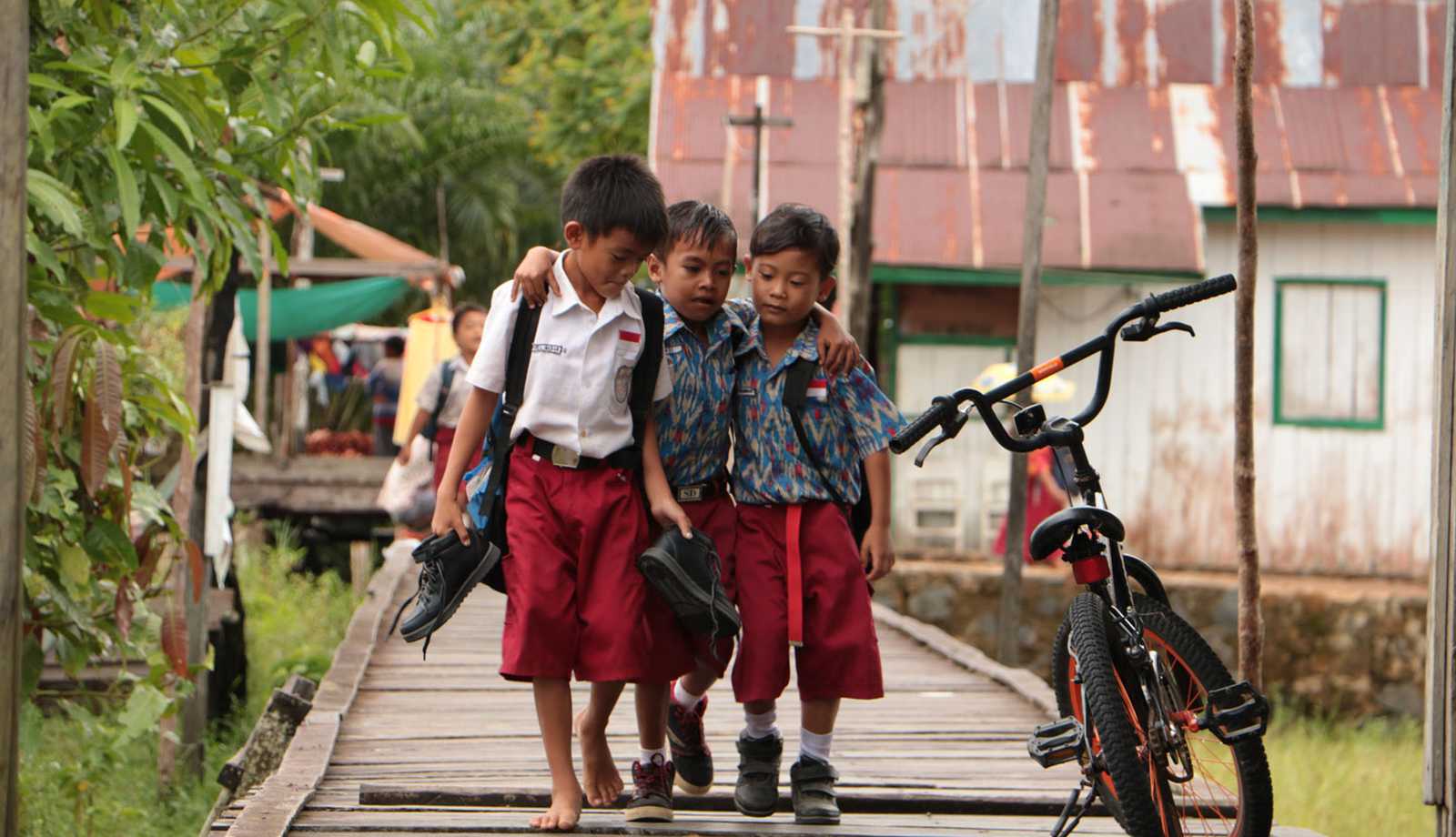 Rimba Raya REDD+, Indonesia | Climate Impact Partners