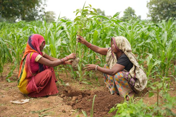 Making Real Change Possible | Climate Impact Partners