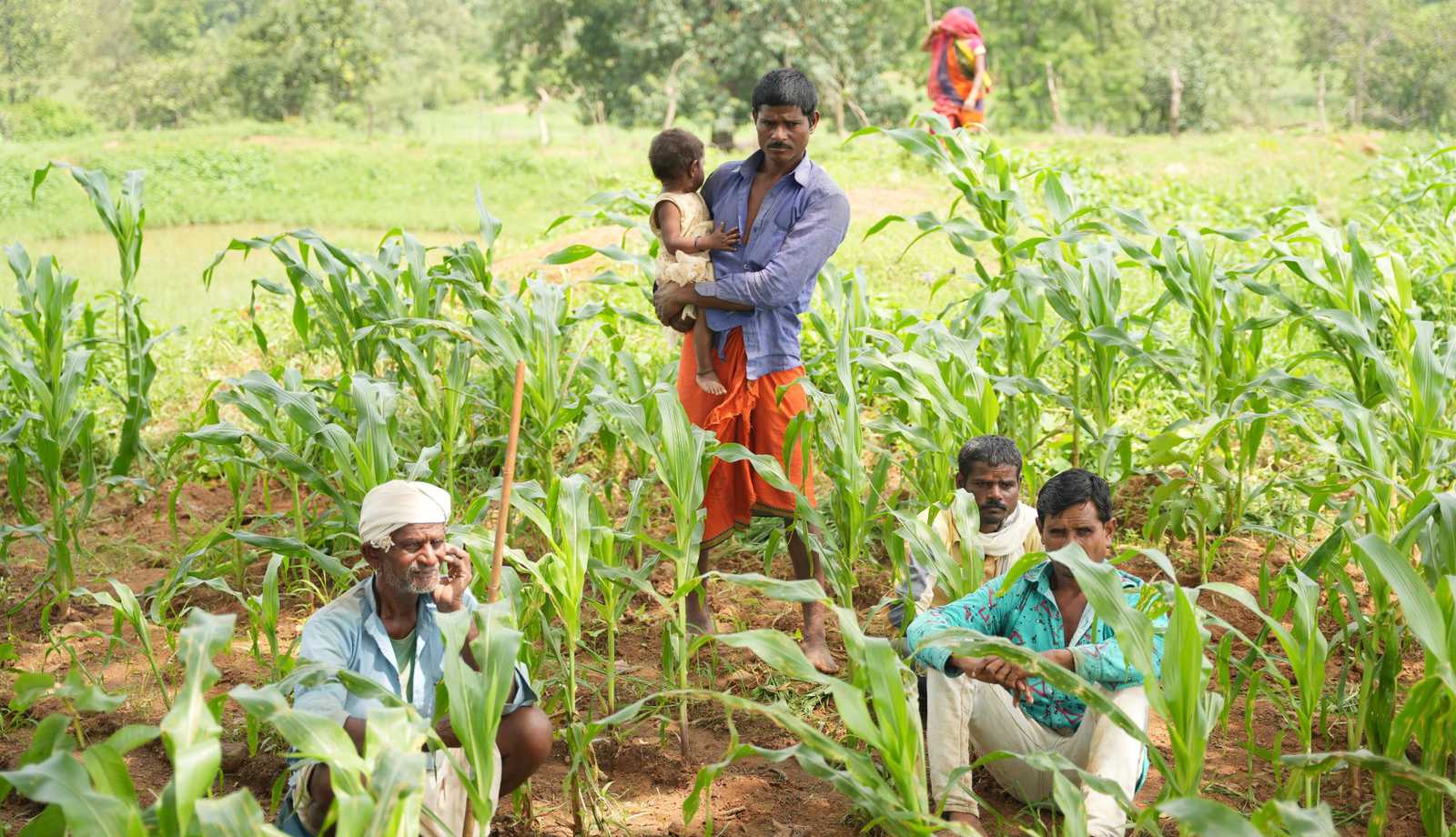 Afforestation | Climate Impact Partners