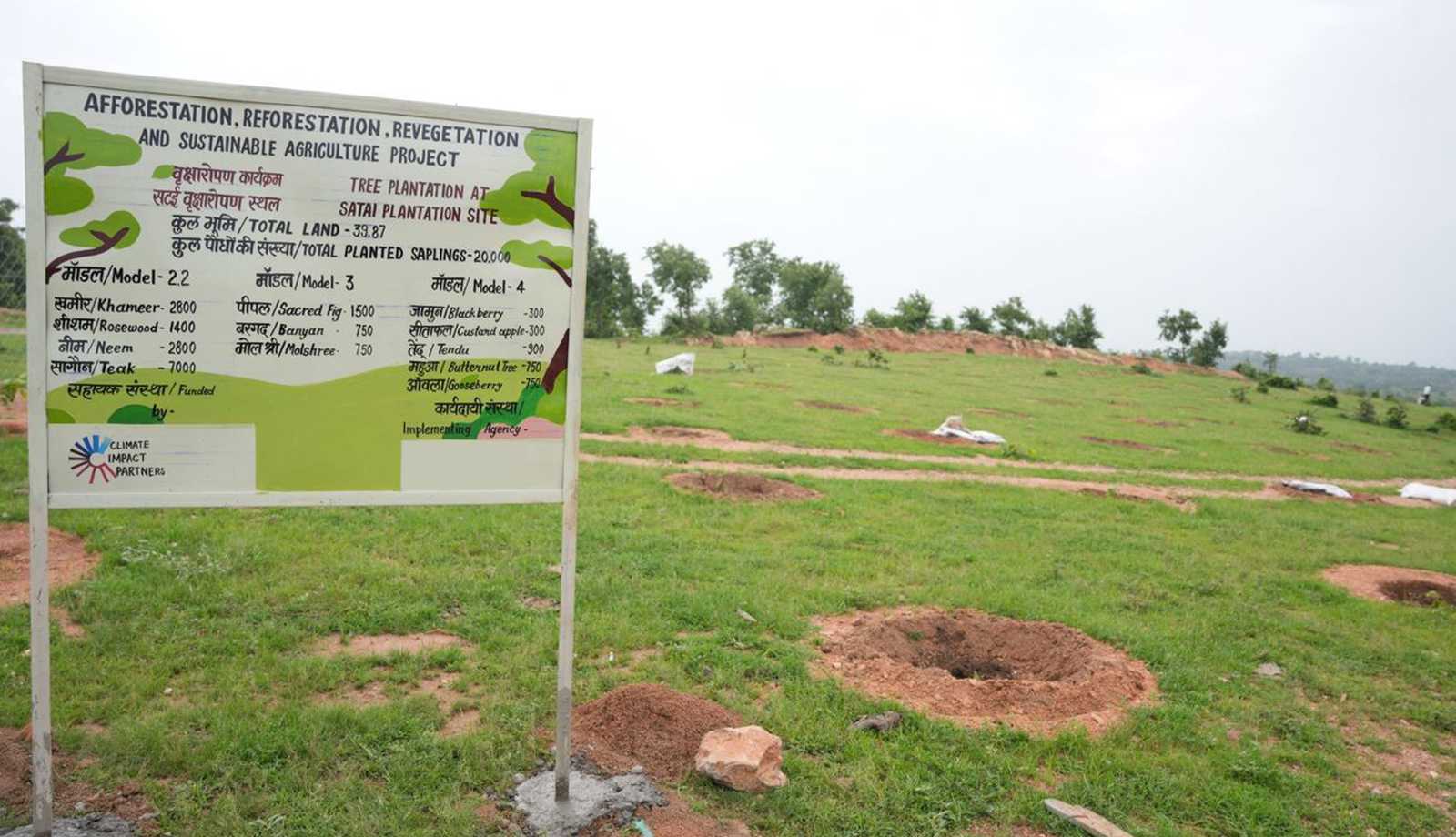 India Panna Afforestation | Climate Impact Partners