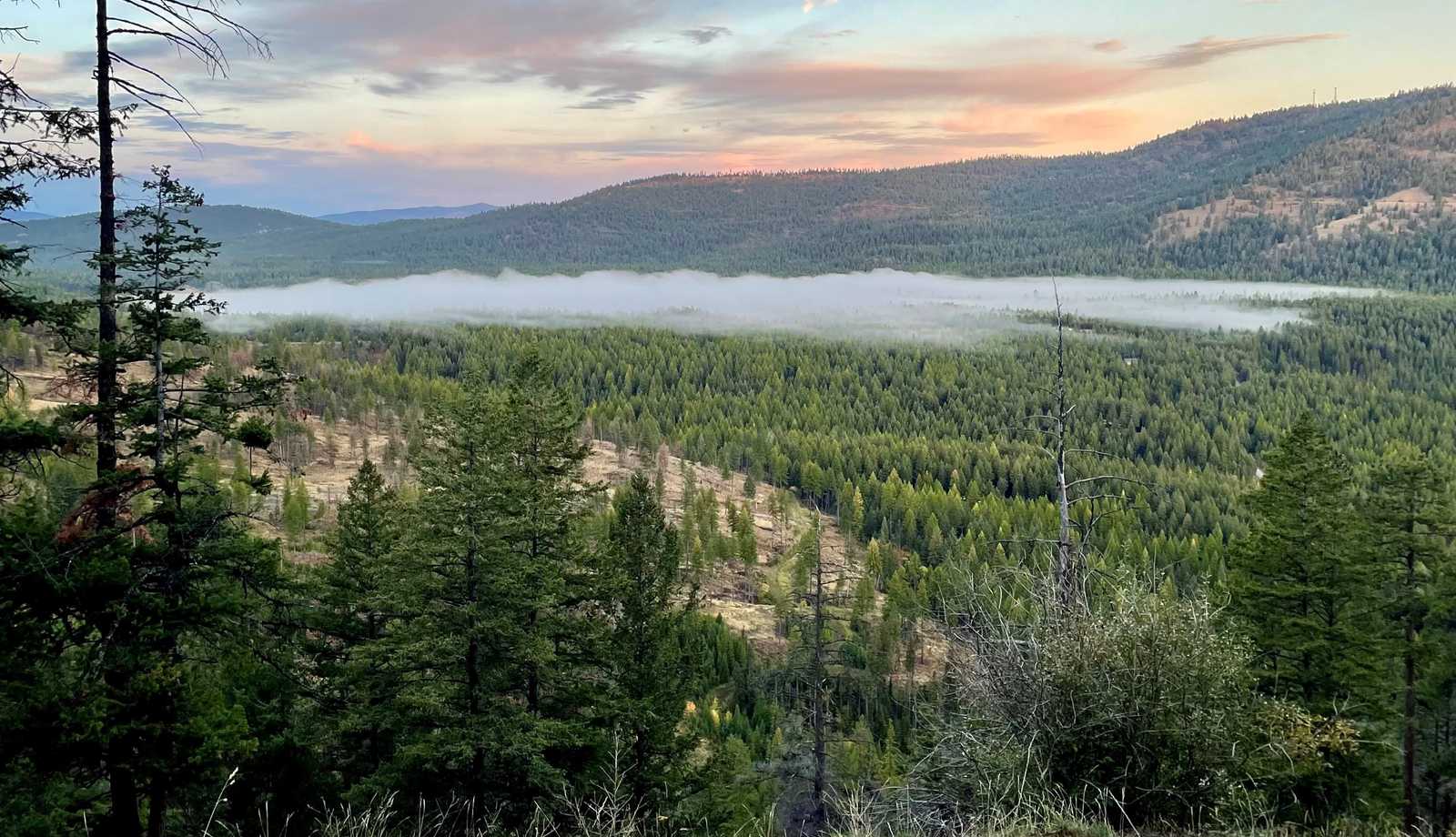 Flathead Ridge Ranch Forest, USA | Climate Impact Partners