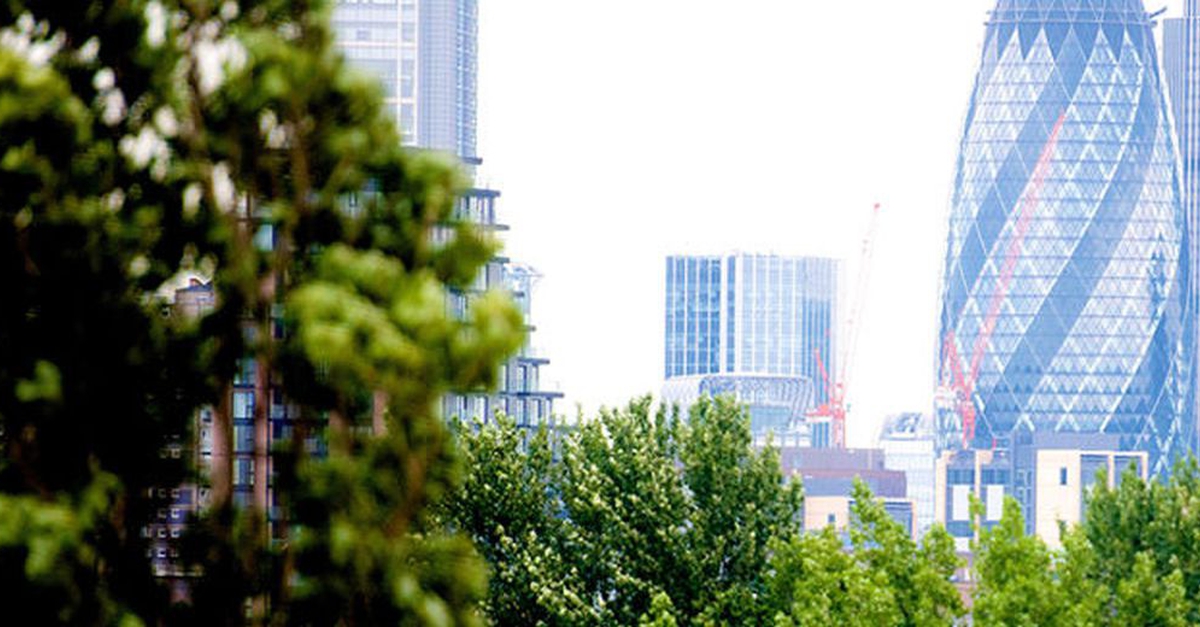 How to Become a Net Zero Organization | Climate Impact Partners