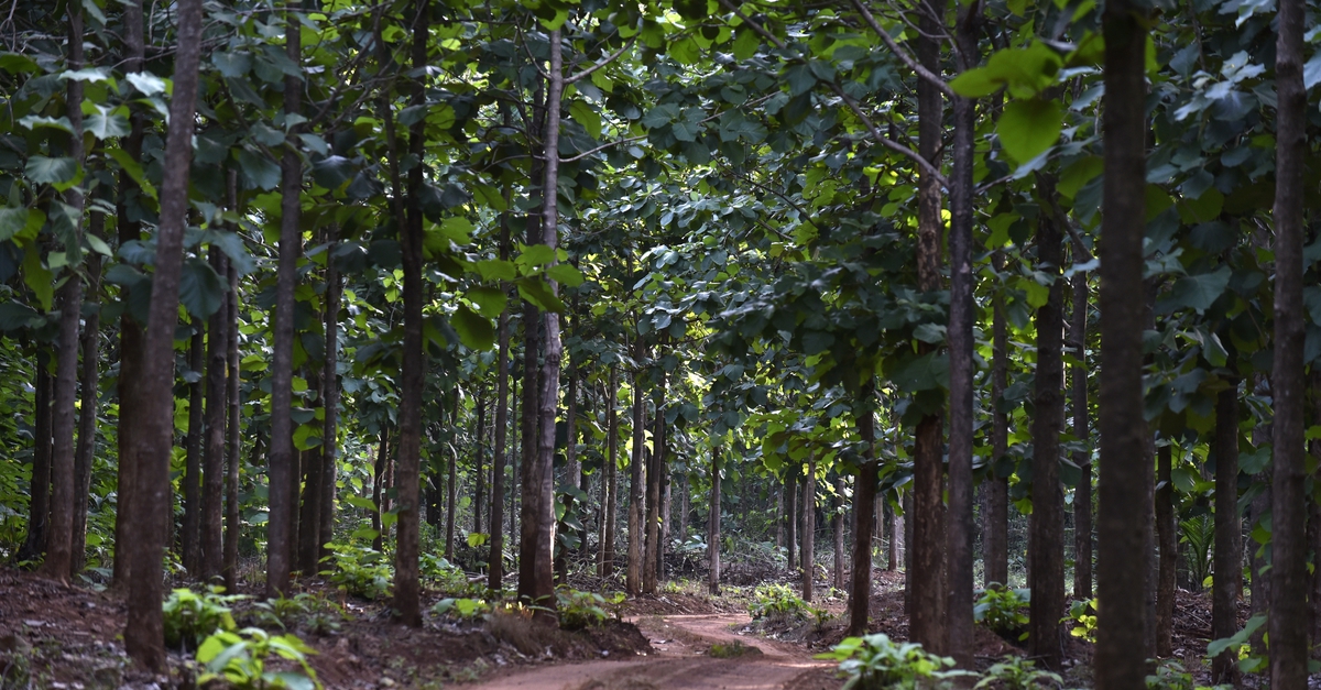 Climate Impact Partners Releases 2023 CarbonNeutral Protocol ...