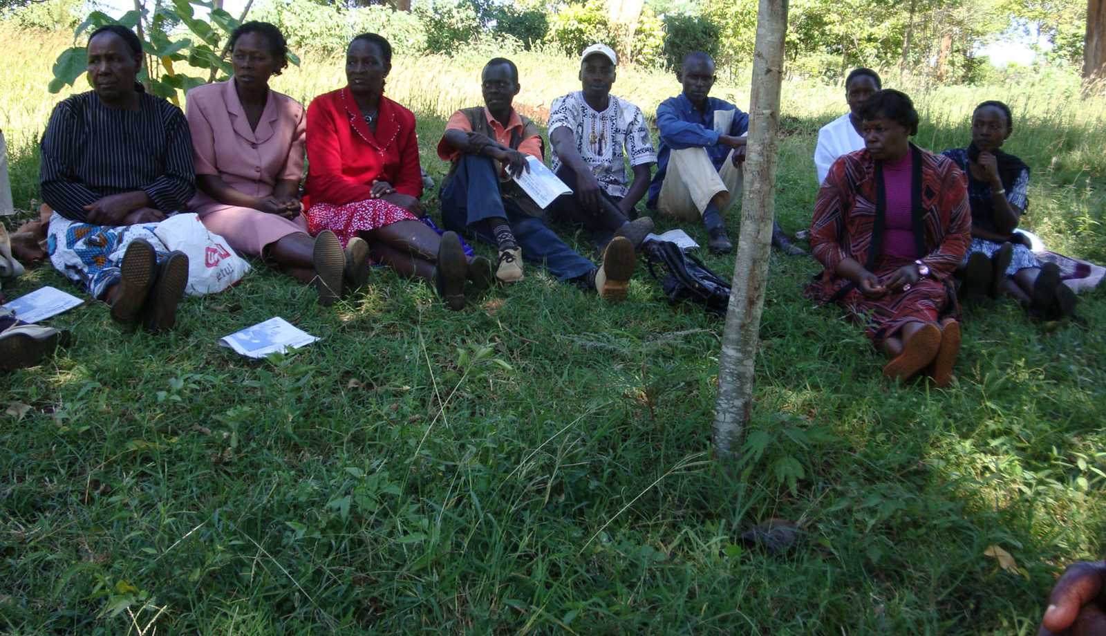 Community Reforestation, East Africa | Climate Impact Partners