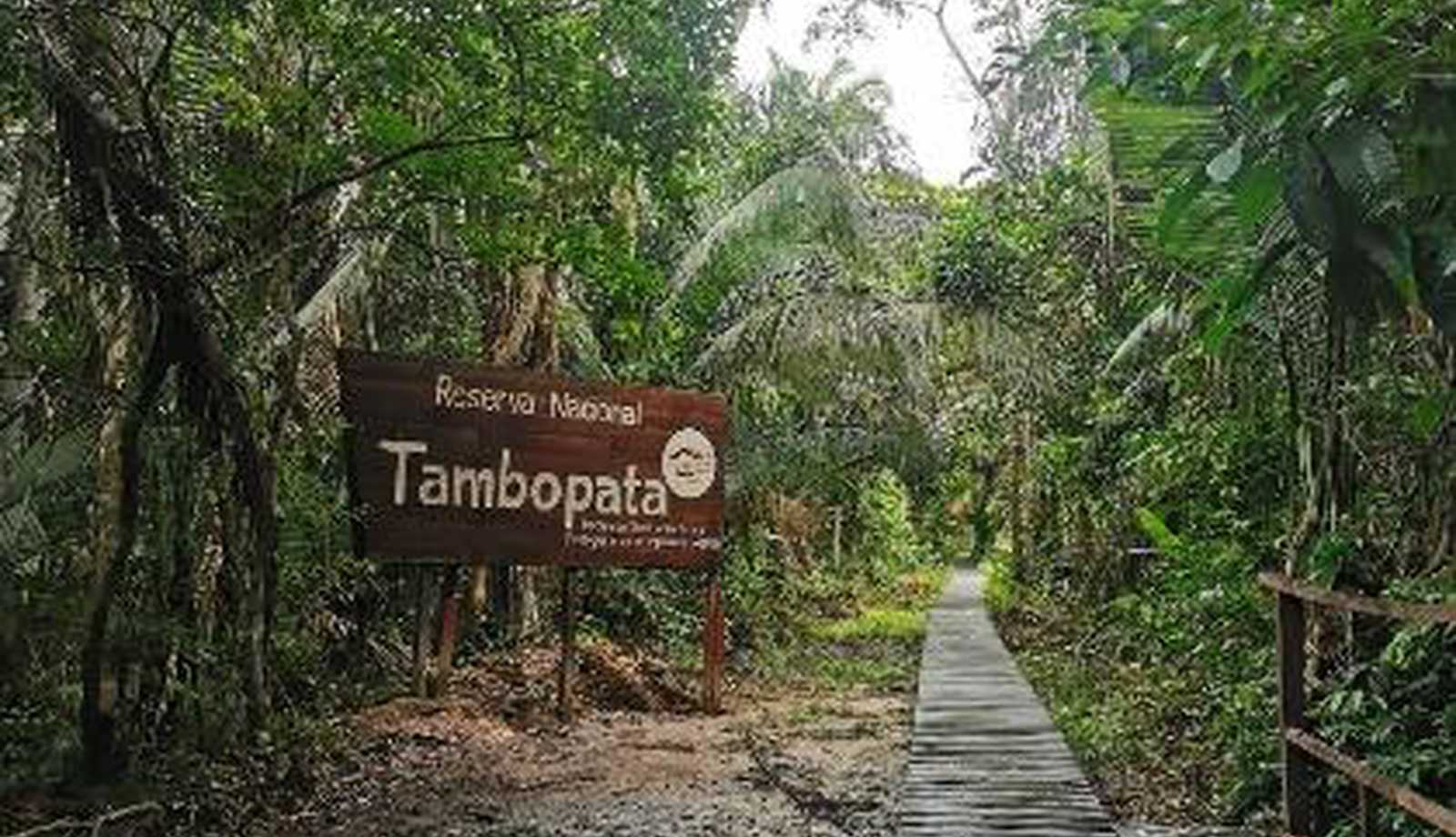 Tambopata National Reserve REDD+, Peru | Climate Impact Partners