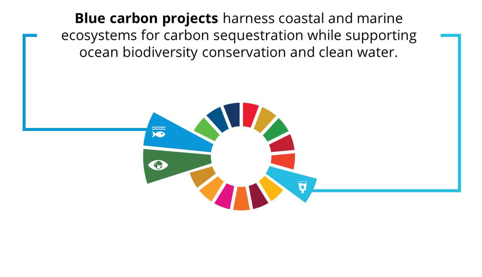 Nature Based Solutions | Climate Impact Partners
