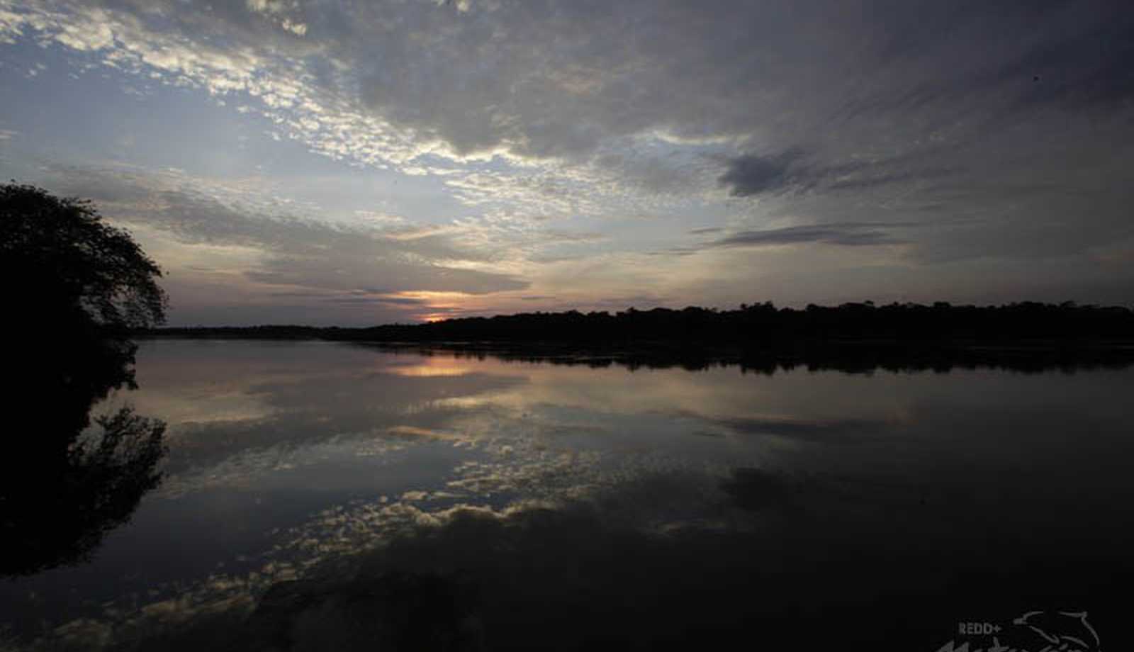 Orinoco River Basin REDD+, Colombia | Climate Impact Partners