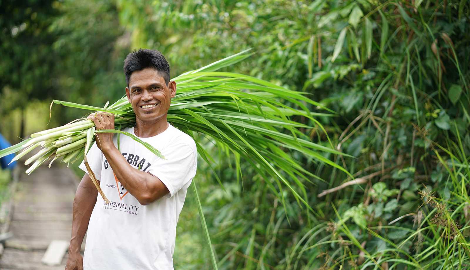 Katingan Peatland Conservation REDD+, Indonesia | Climate Impact Partners