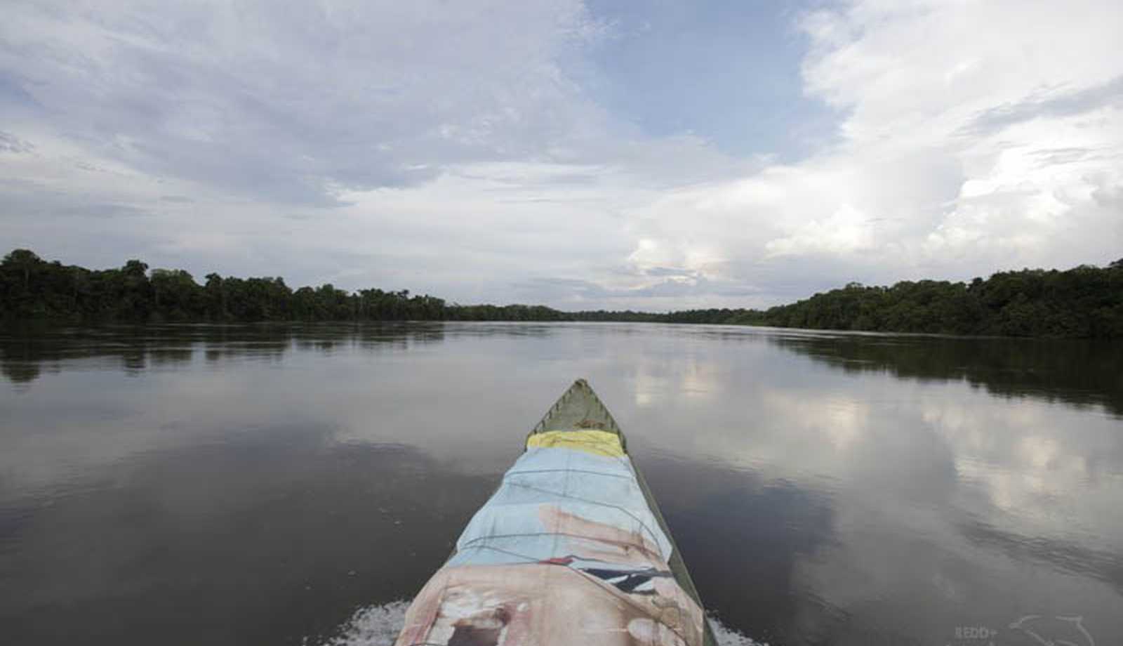 Orinoco River Basin REDD+, Colombia | Climate Impact Partners