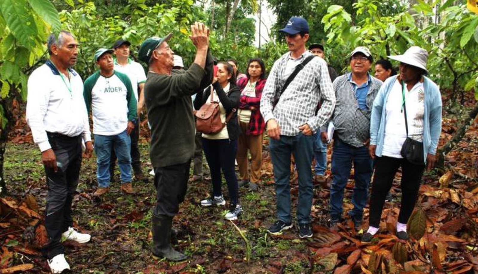 Tambopata National Reserve REDD+, Peru | Climate Impact Partners