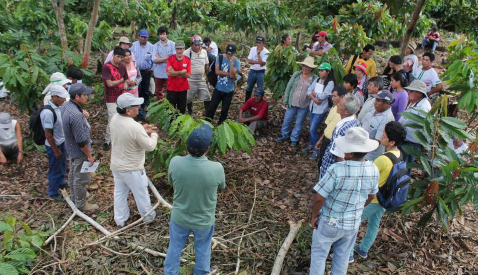 Tambopata National Reserve REDD+, Peru | Climate Impact Partners