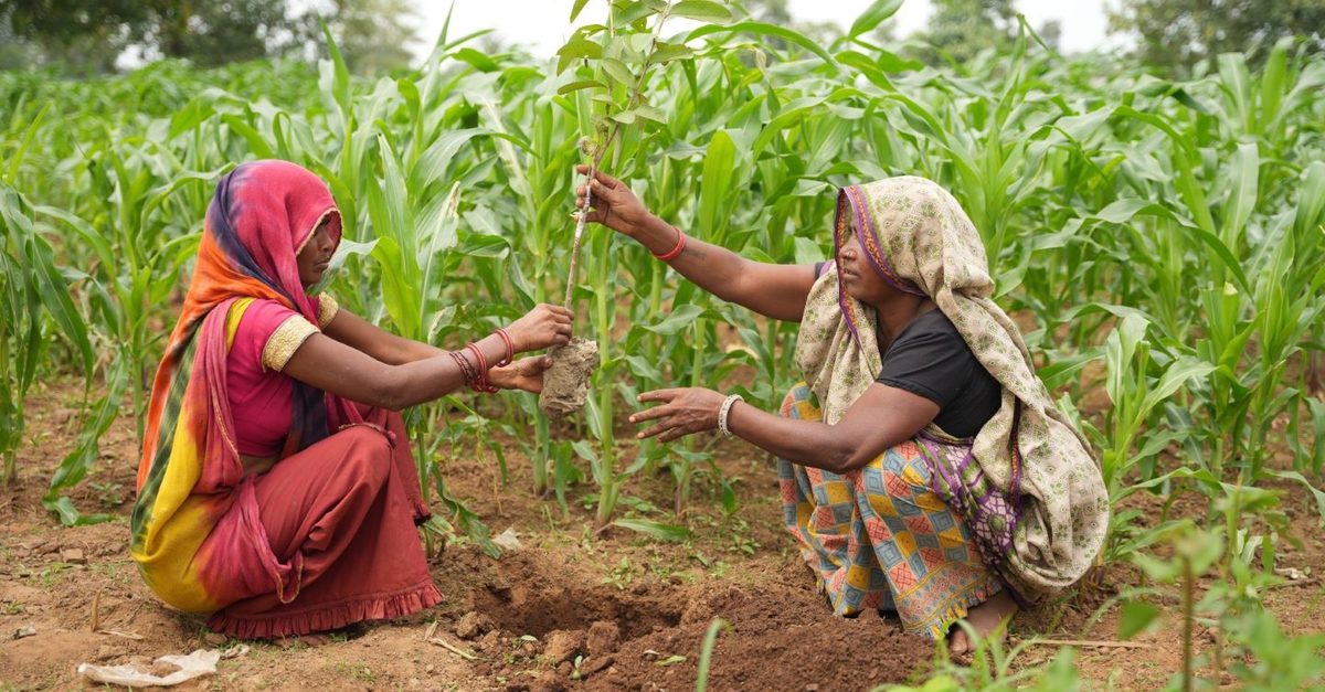 Carbon Credits Explained | Climate Impact Partners