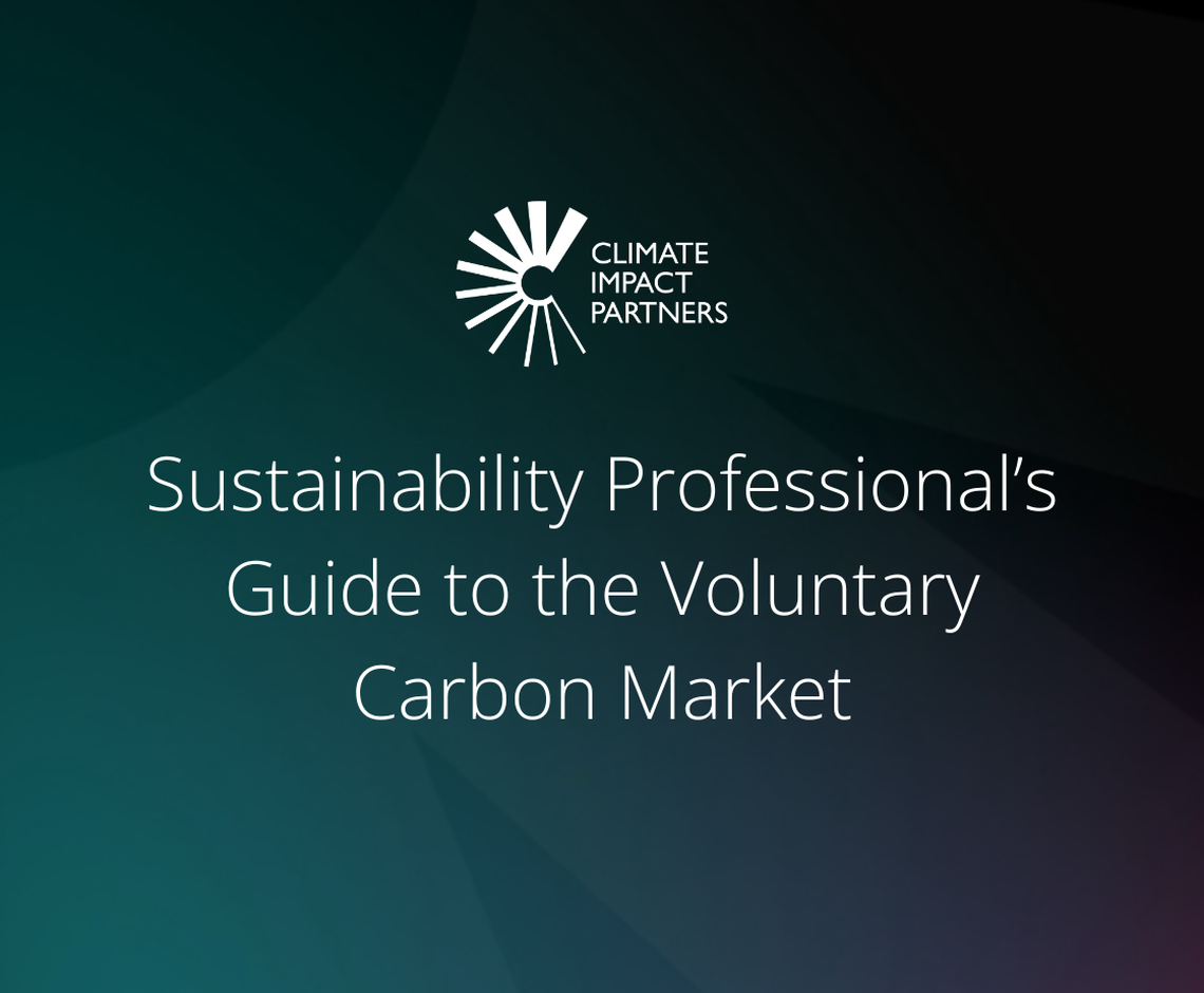 Article 6 Insights | Climate Impact Partners