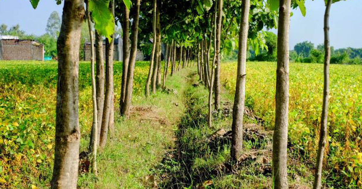 Climate Impact Partners Appoints Sheri Hickok Chief Executive Officer ...