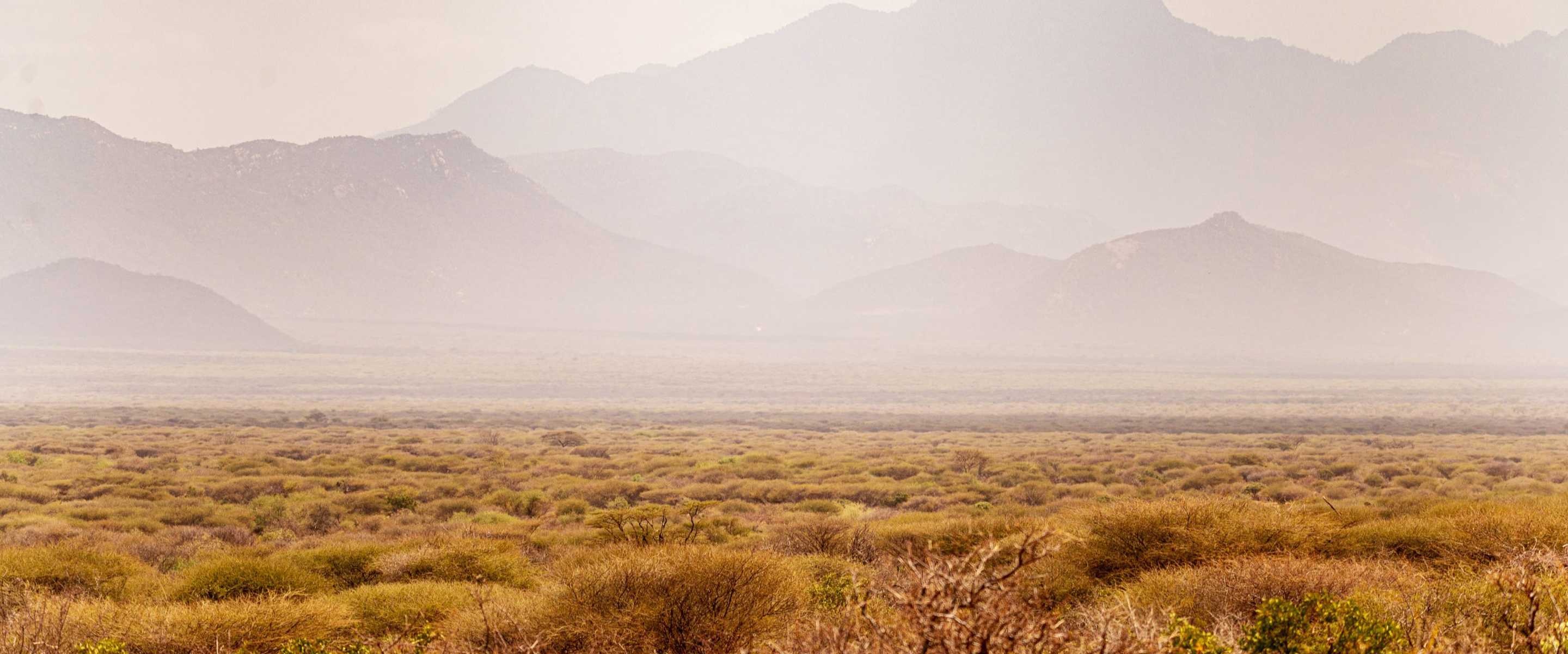 Grasslands | Climate Impact Partners