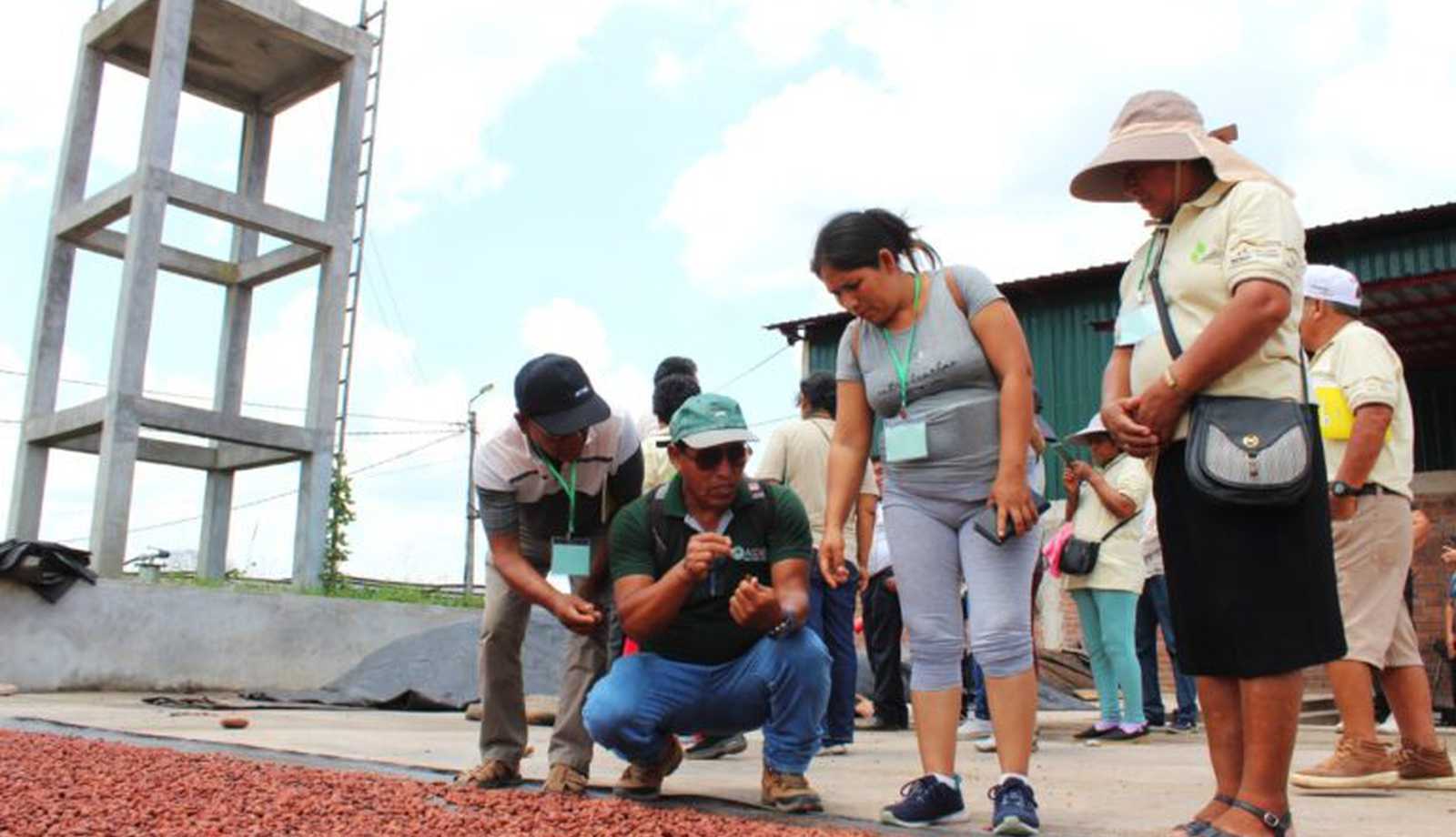 Tambopata National Reserve REDD+, Peru | Climate Impact Partners