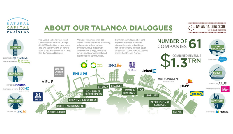 The Role of Business in Getting to Net Zero | Climate Impact Partners