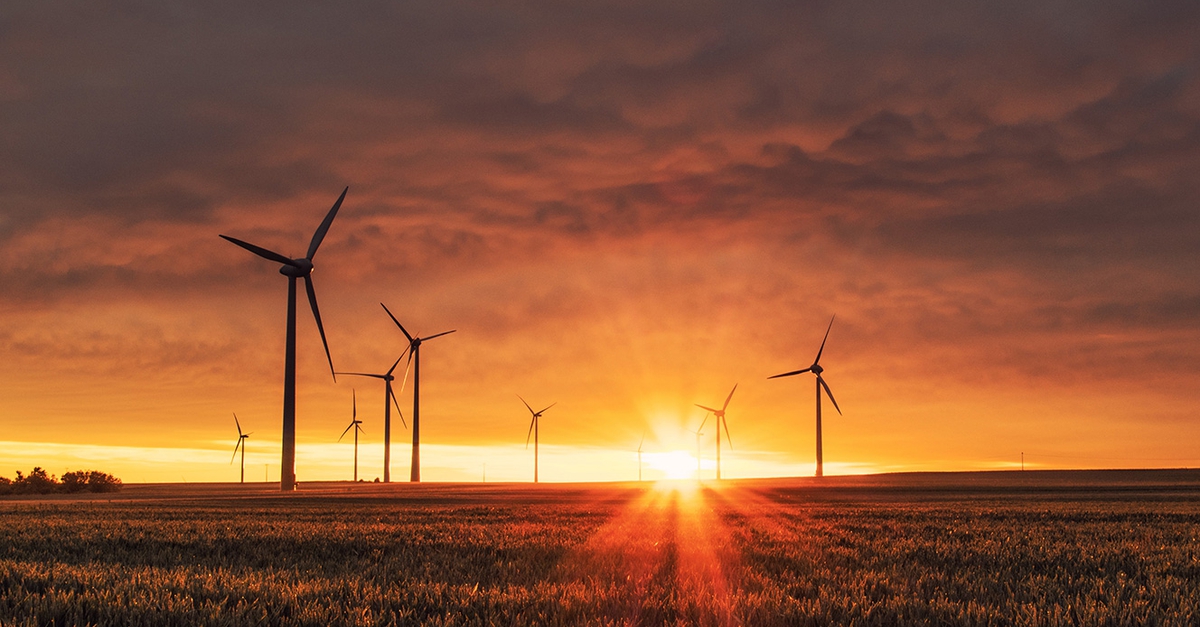 The Carbon Footprint of AI | Climate Impact Partners