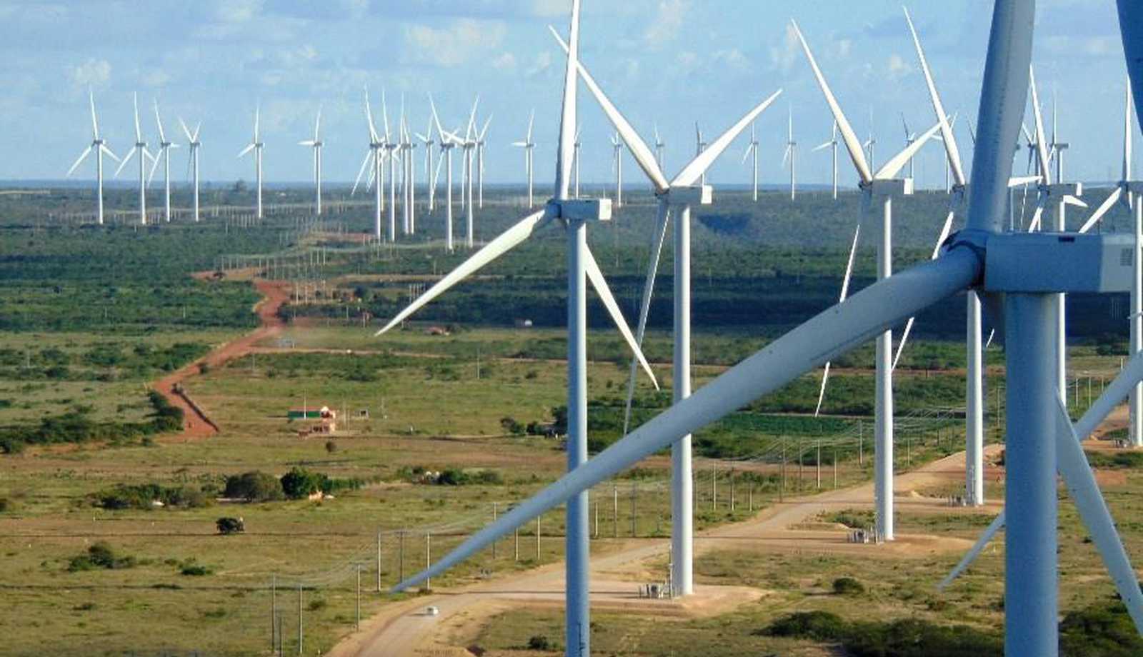 Araripina Wind Power, Brazil | Climate Impact Partners