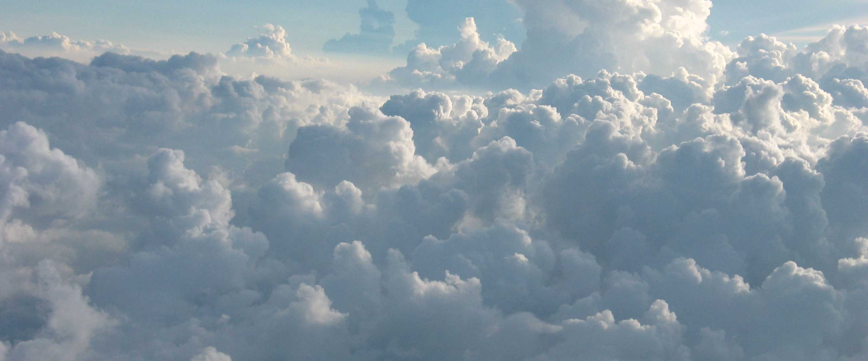 Sustainable Aviation Fuel (SAF) | Climate Impact Partners