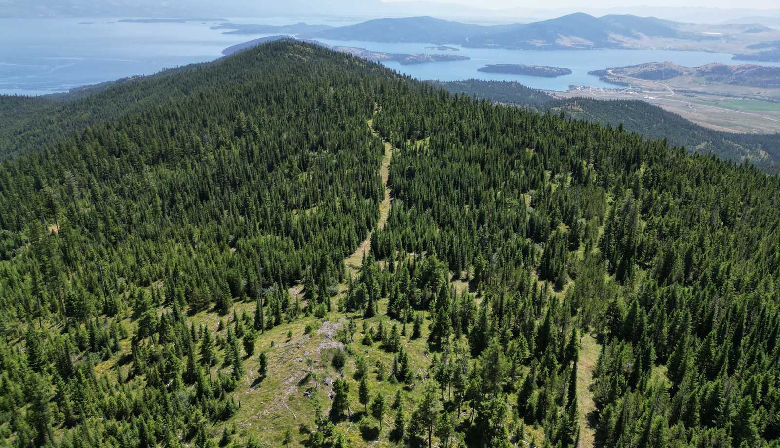 North ﻿American IFM Projects | Climate Impact Partners
