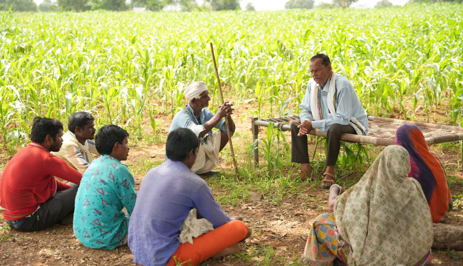 Afforestation | Climate Impact Partners