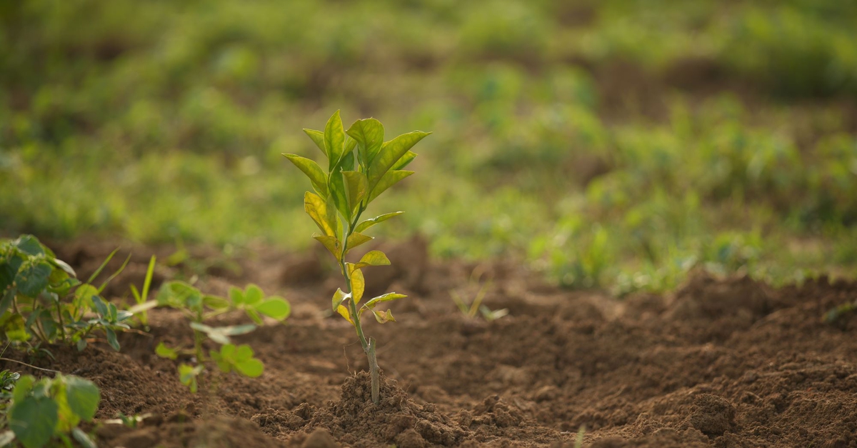 Climate Impact Partners Registers India’s First VM0047 Project with ...