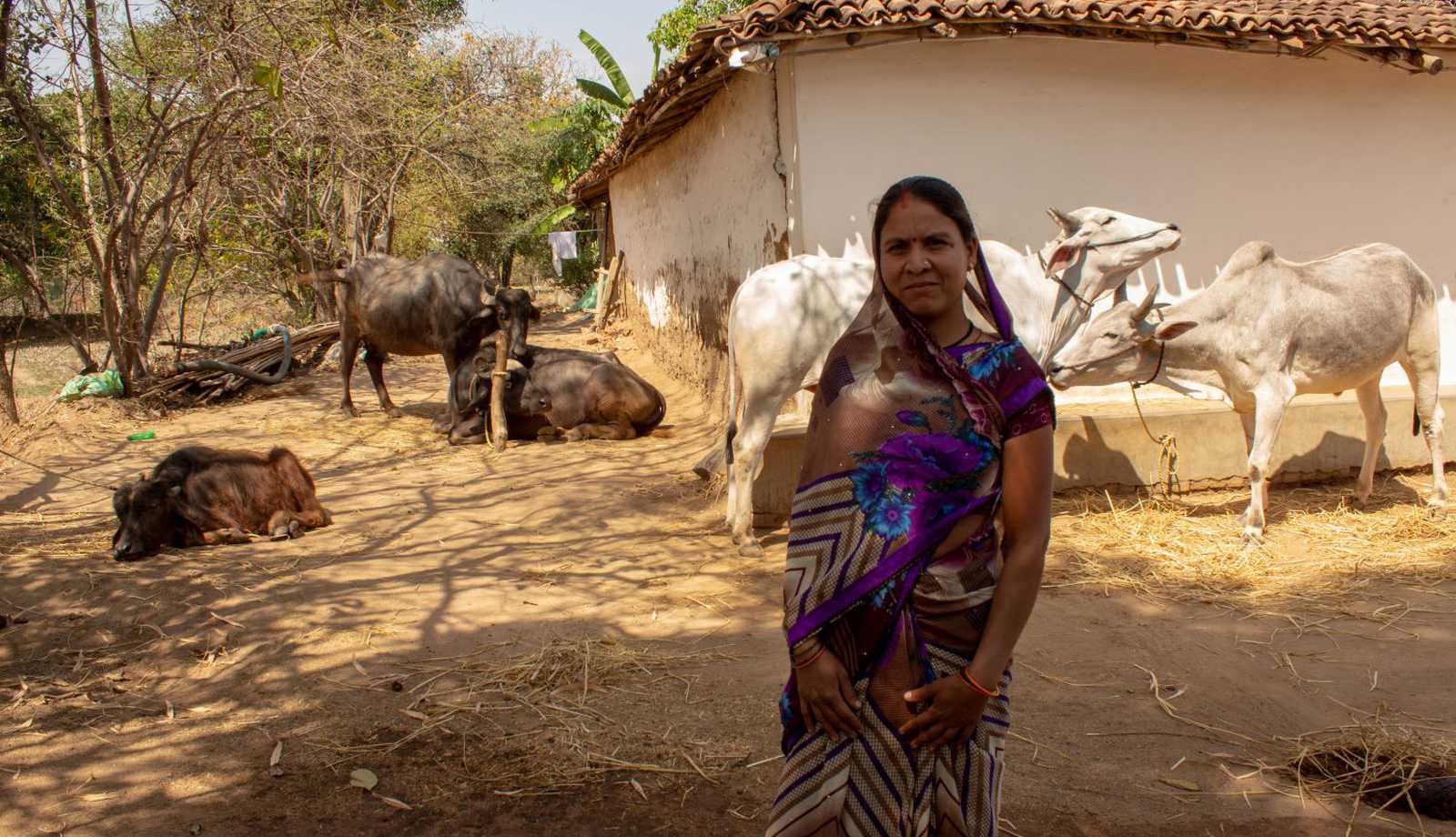 Rural Clean Cooking, India | Climate Impact Partners